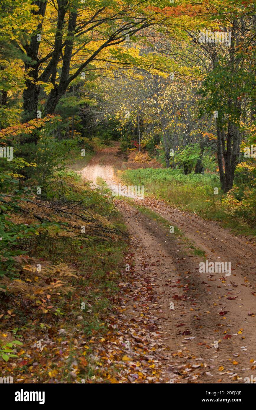 Two track road through hi-res stock photography and images - Alamy