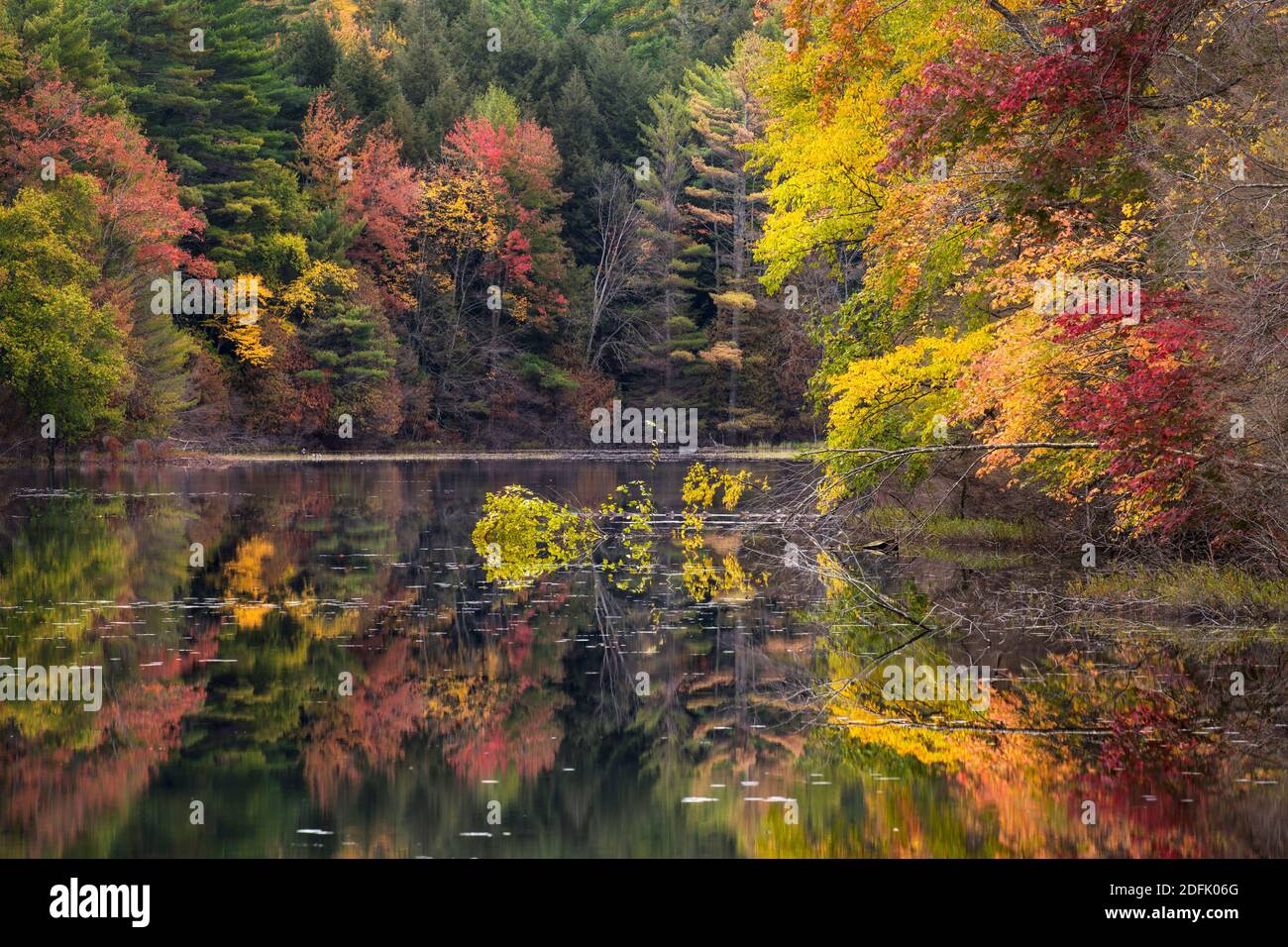 Autumn color reflected in Kimble Lake near Munising, MI Stock Photo - Alamy