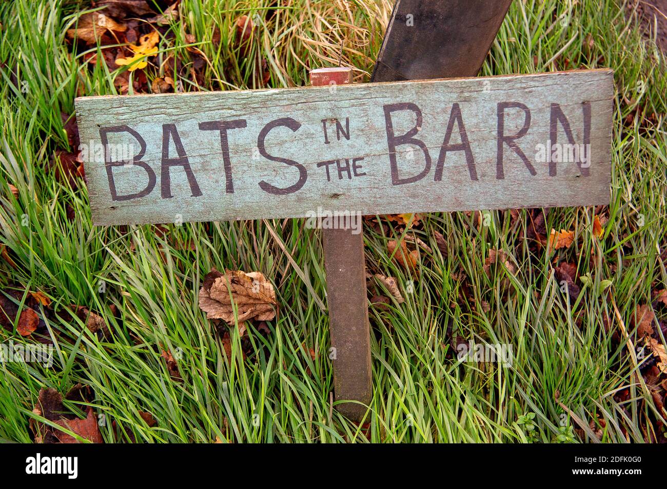 Hs2 bats hi-res stock photography and images - Alamy