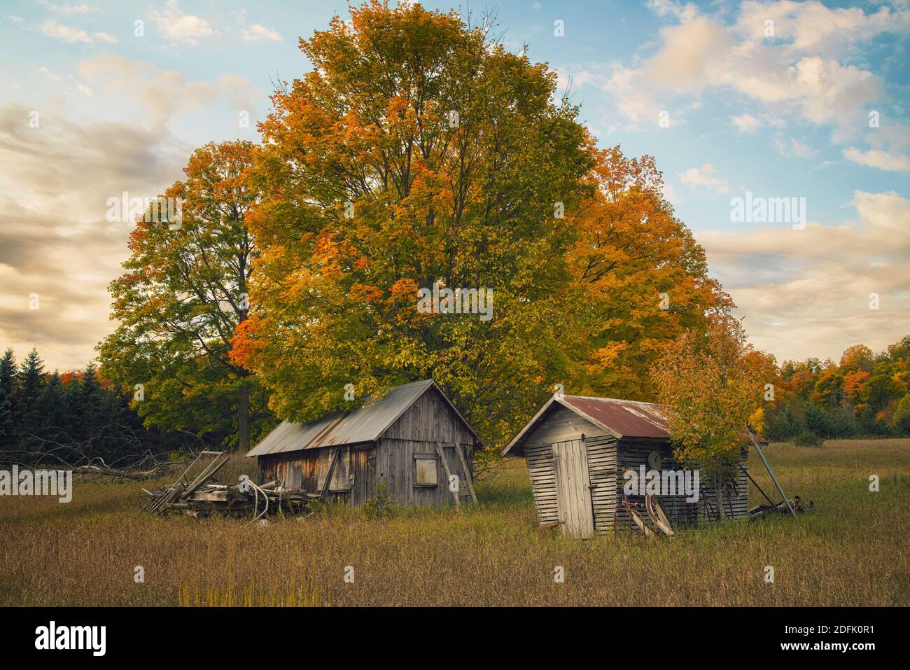 Petoskey autumn hi-res stock photography and images - Alamy
