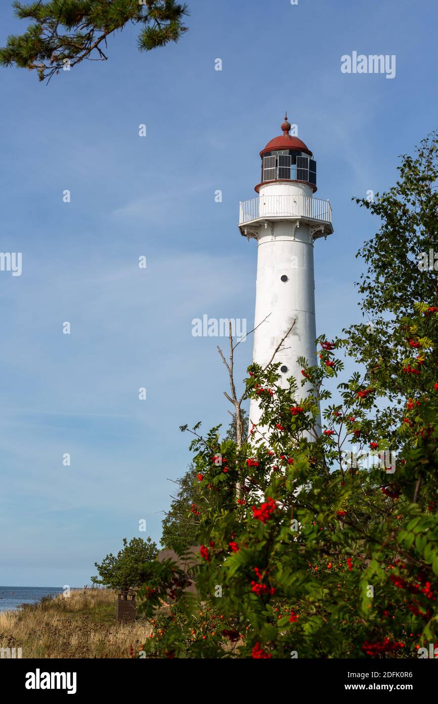 Travelling around Vormsi island in summer 2019 Stock Photo - Alamy