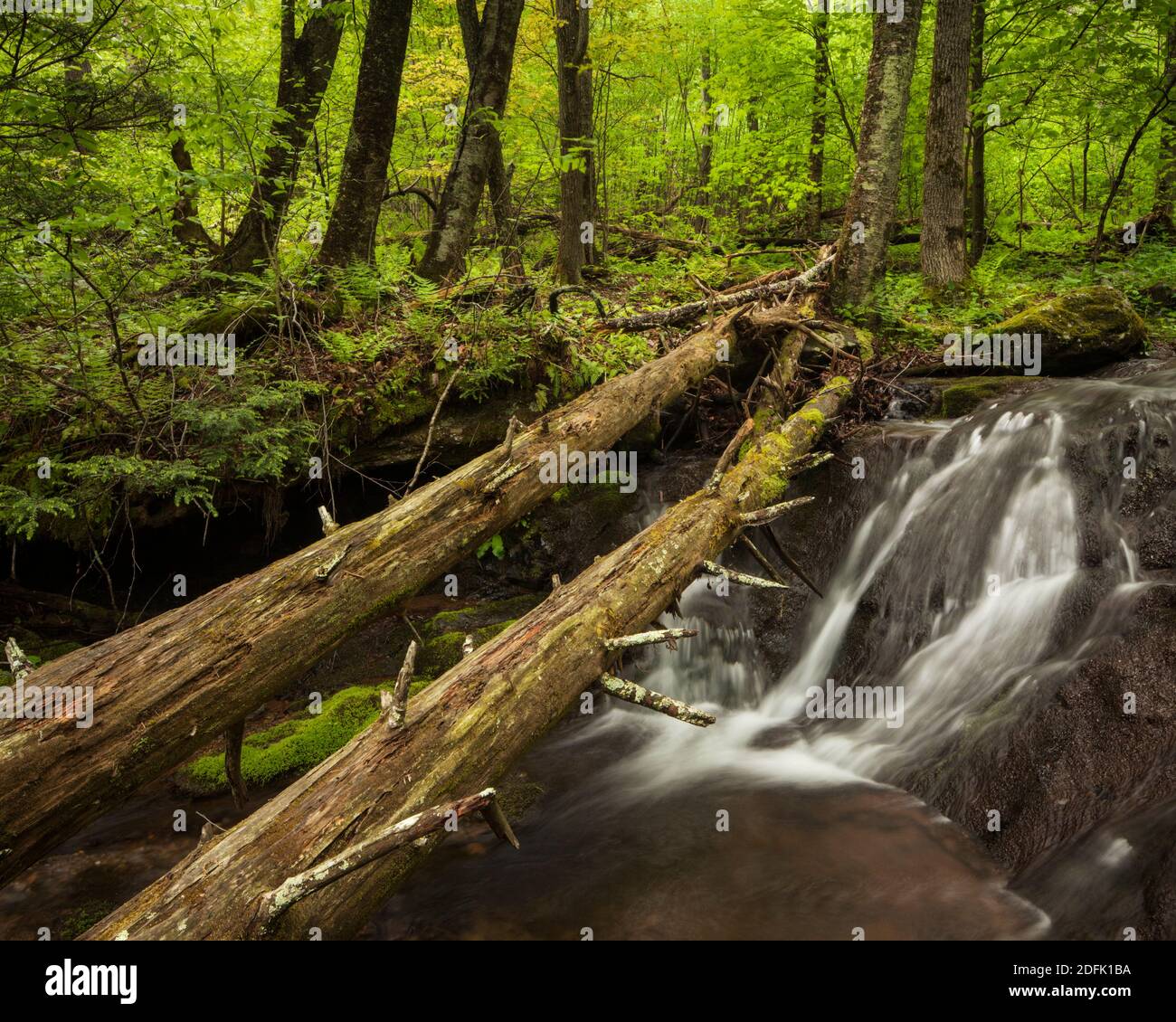 Shenandoah national park spring hi-res stock photography and images - Alamy