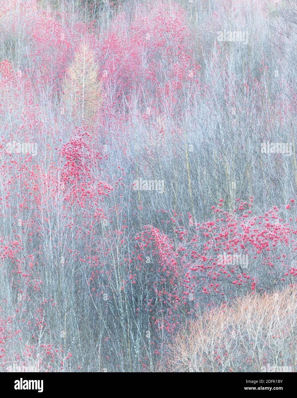 Arrow river hi-res stock photography and images - Alamy