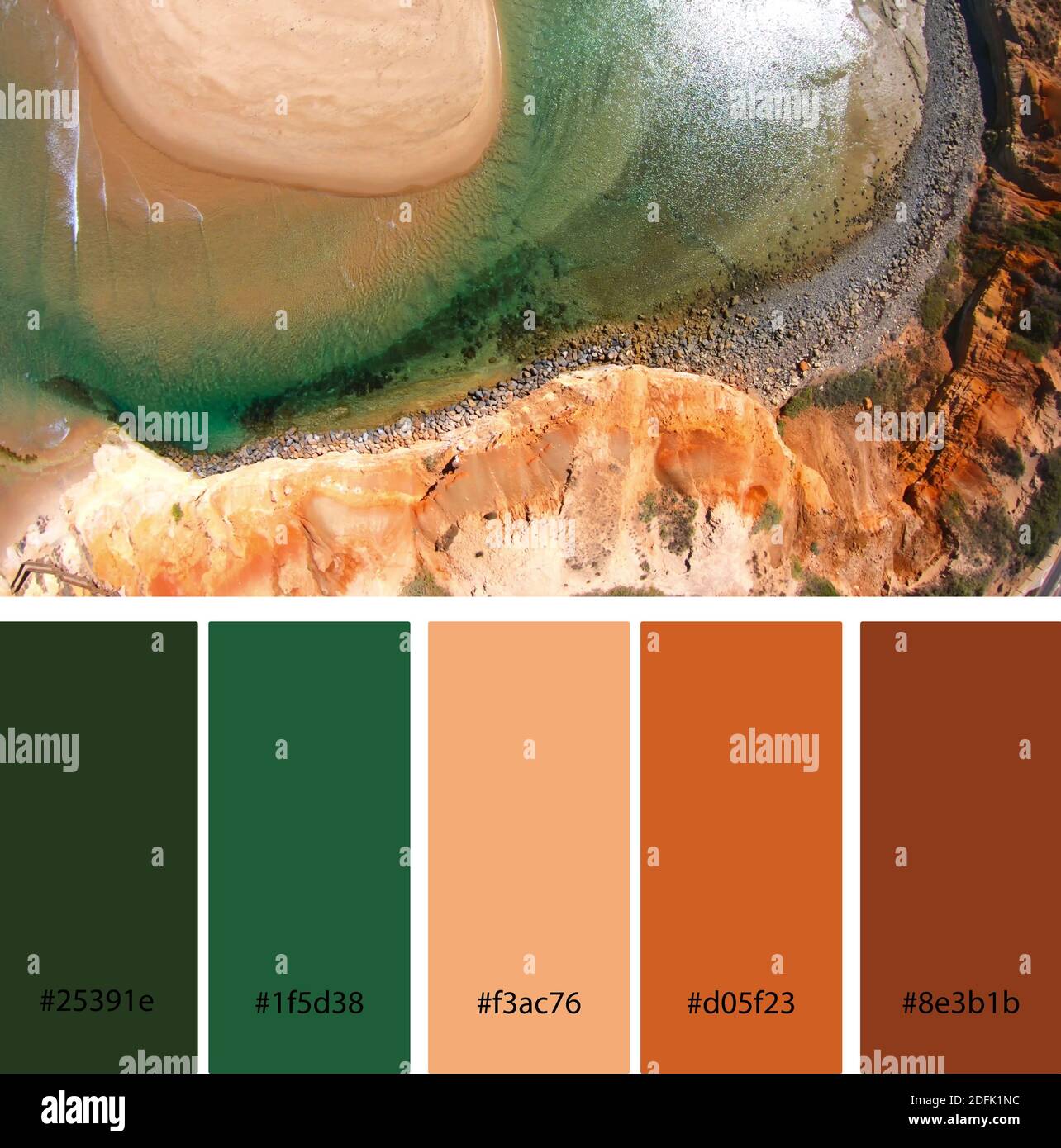 Designer Pack Color Palette inspired by nature. Aerial overhead of the ...