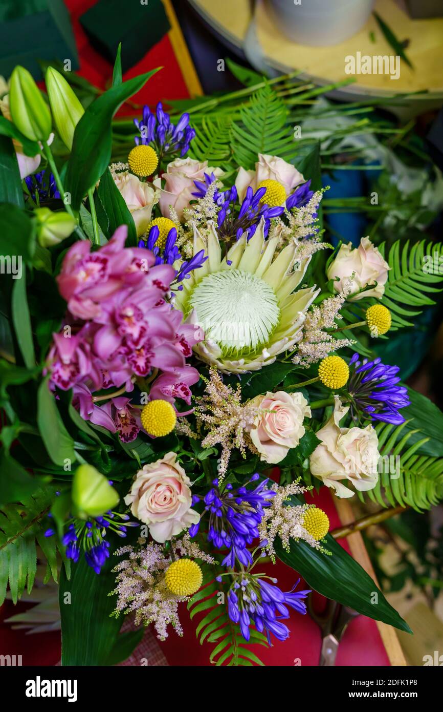 vertical photo flower centre in a flower shop with roses Stock Photo ...