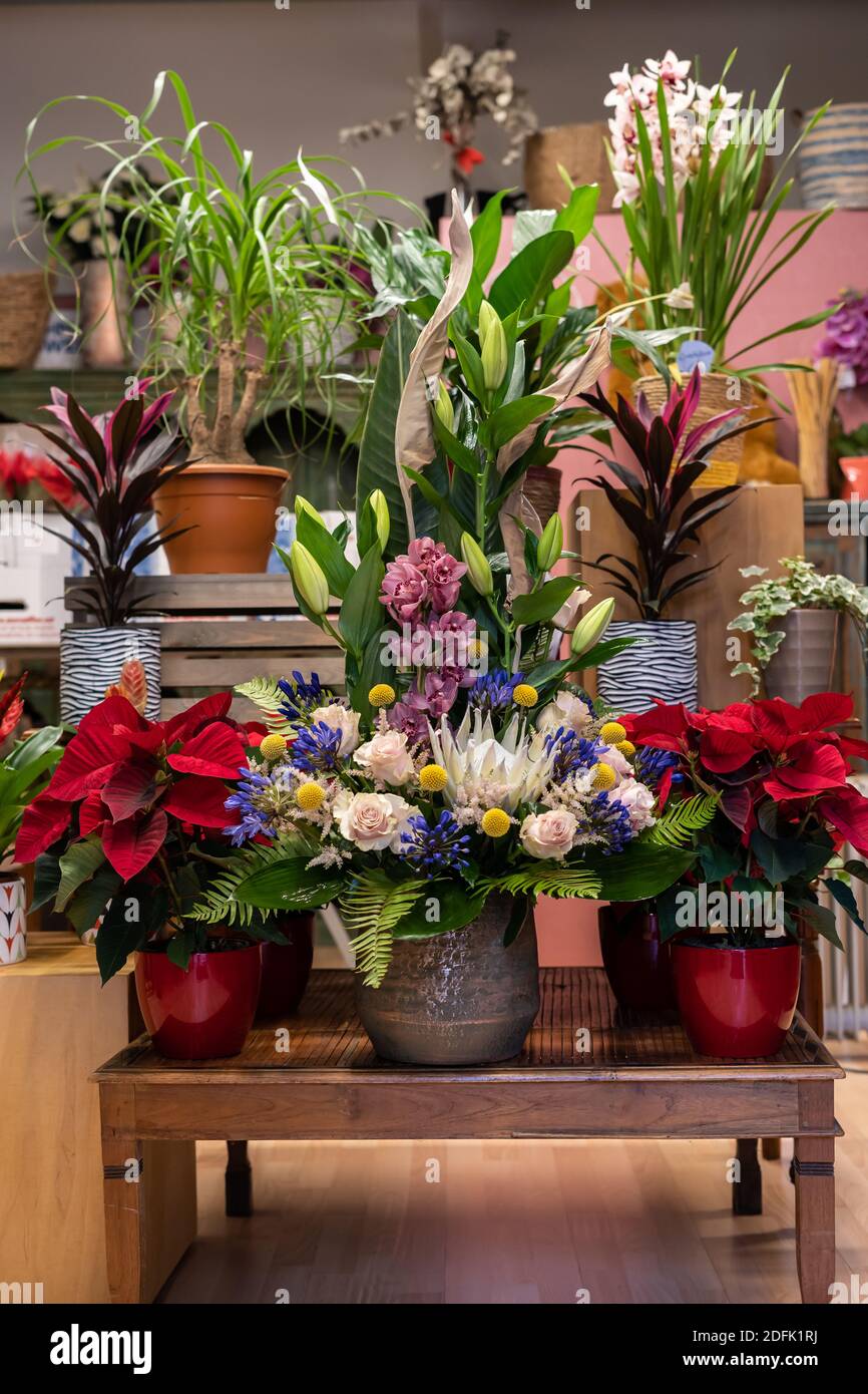 inside the florist's shop Stock Photo - Alamy