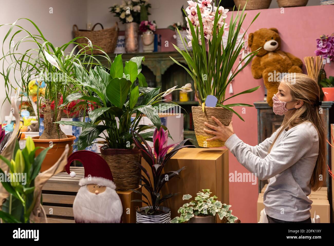 entrepreneur woman working in the flower shop after being able to ...