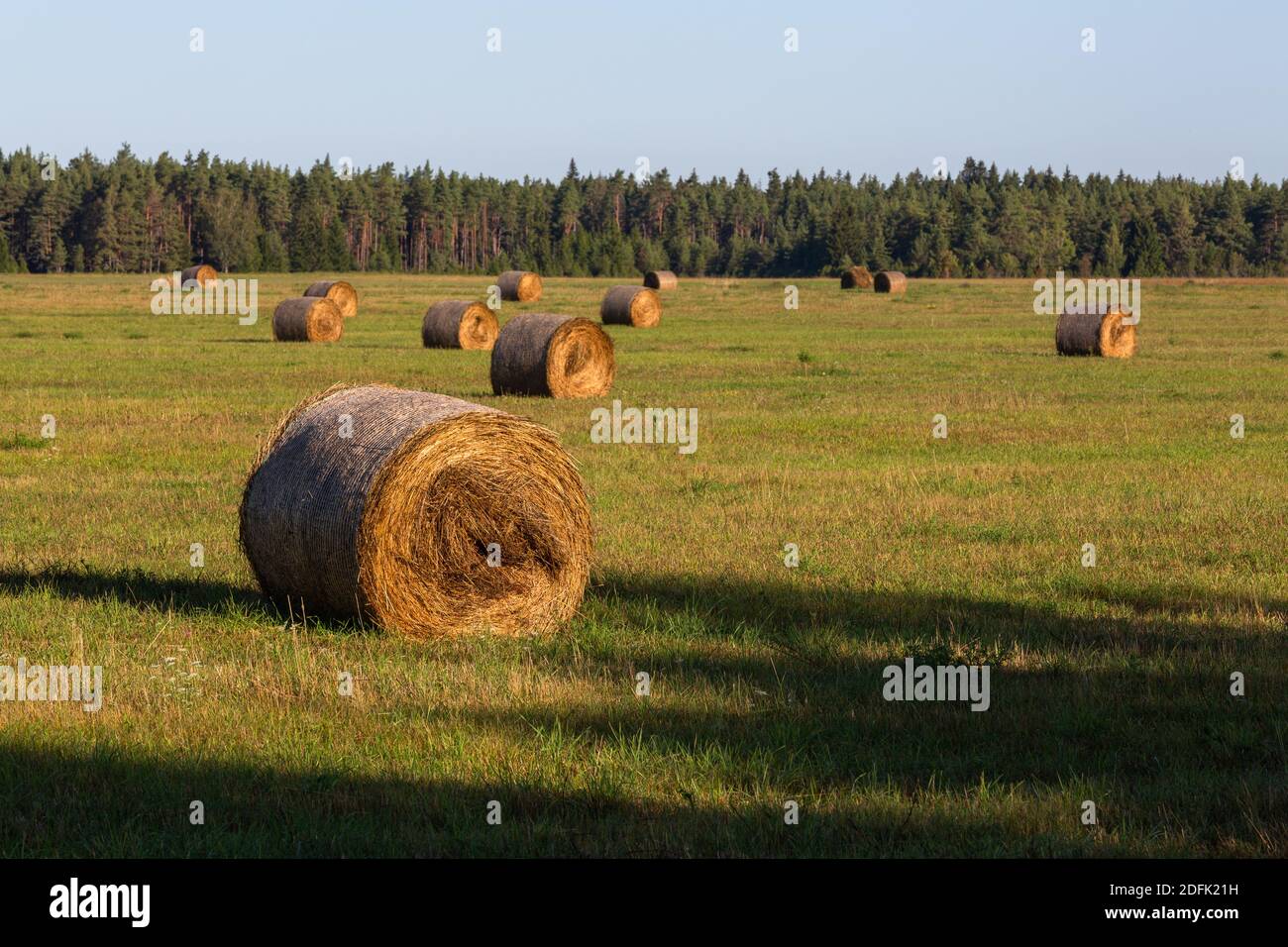 Vormsi estonia hi-res stock photography and images - Alamy