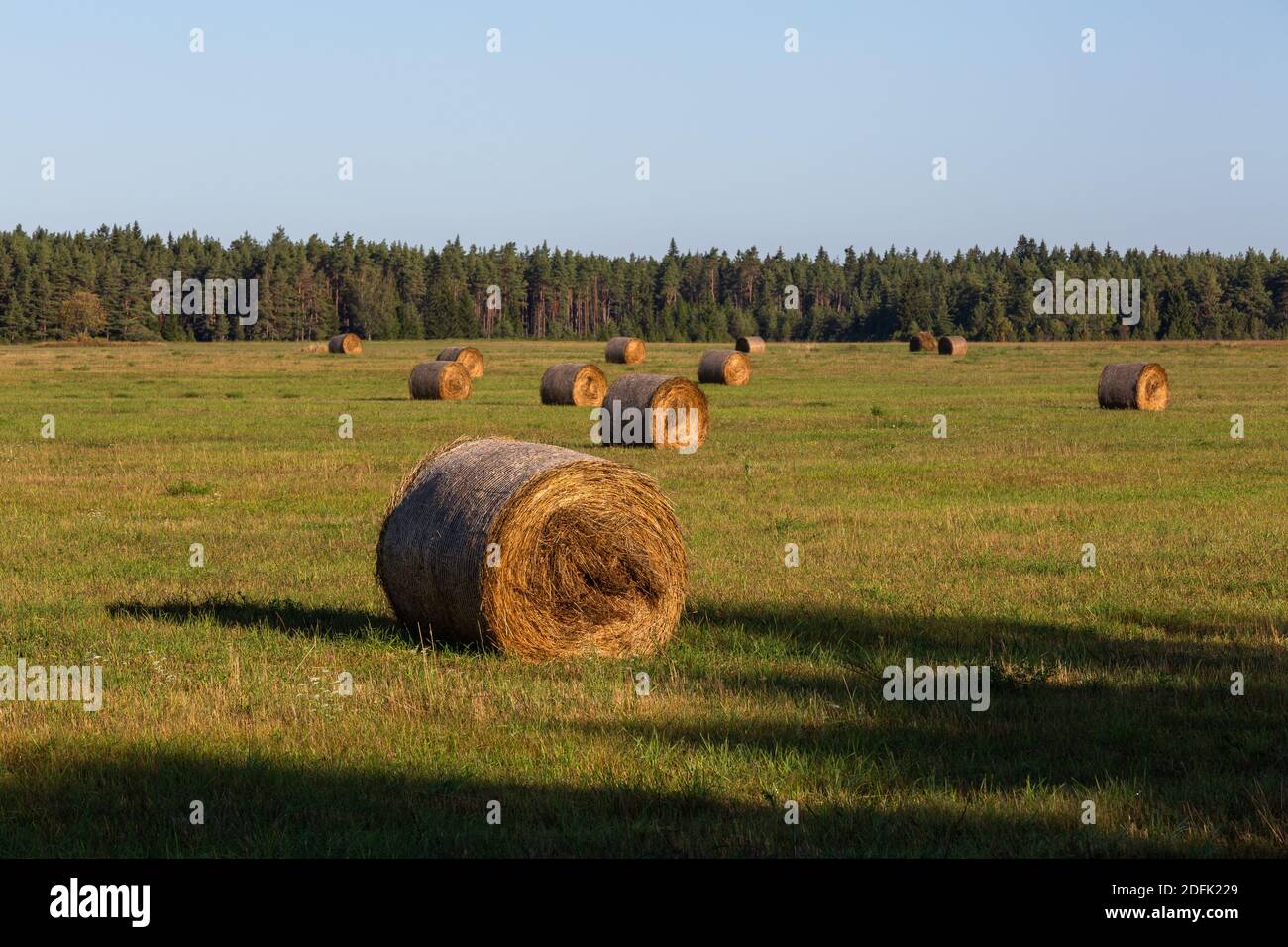 Travelling around Vormsi island in summer 2019 Stock Photo - Alamy