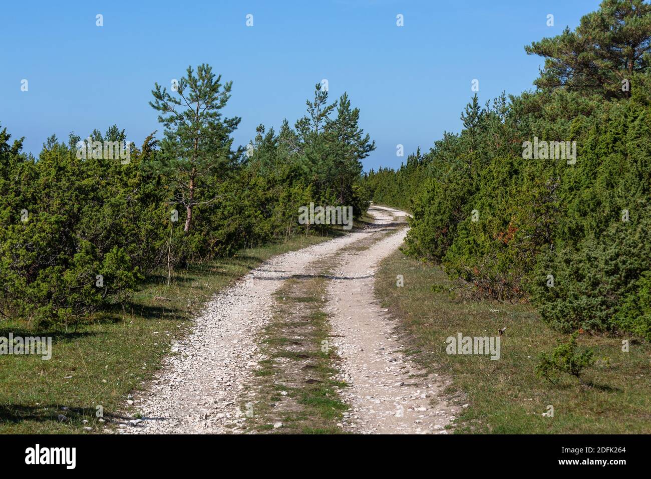 Travelling around Vormsi island in summer 2019 Stock Photo - Alamy