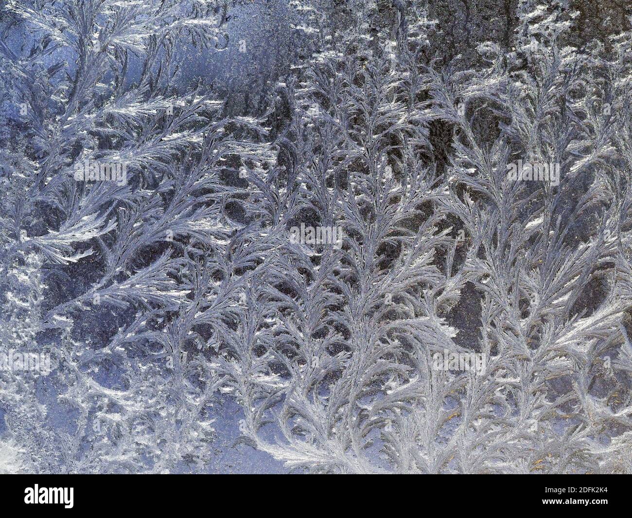 Beautiful frosty patterns on the window Stock Photo - Alamy