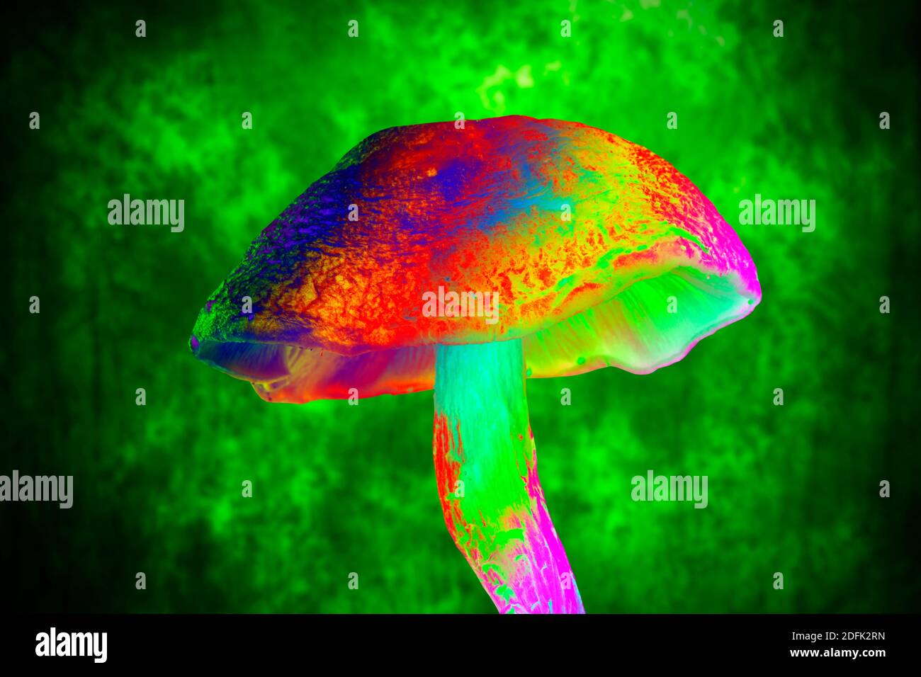 Magic fungi hi-res stock photography and images - Alamy