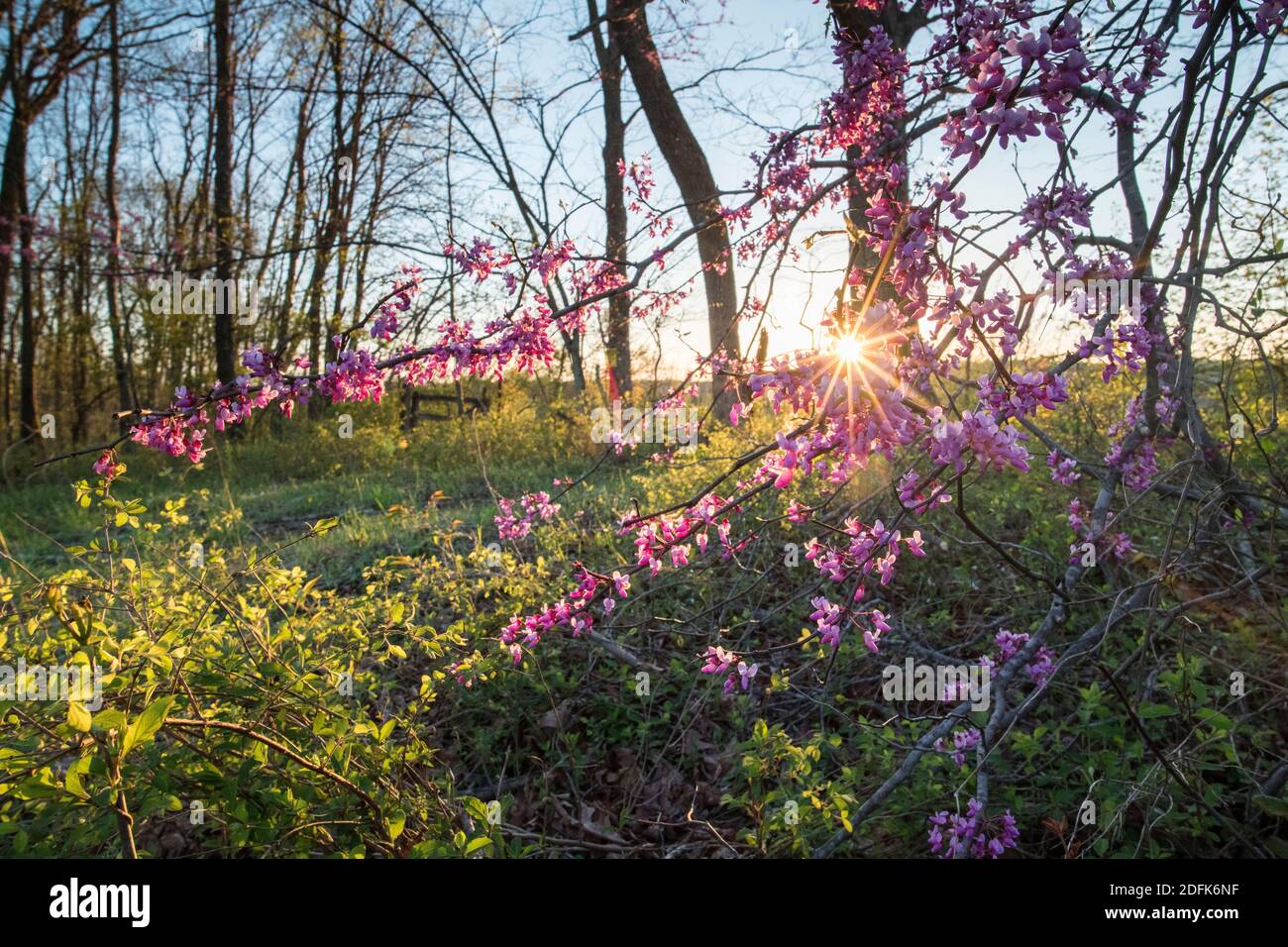 Banshee reeks nature preserve hi-res stock photography and images - Alamy