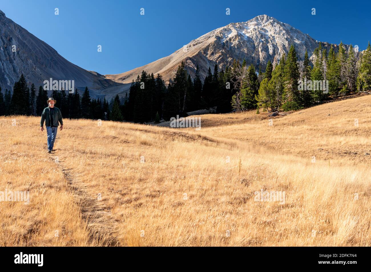 Beautiful mountain meadow to hike through on a trail Stock Photo - Alamy