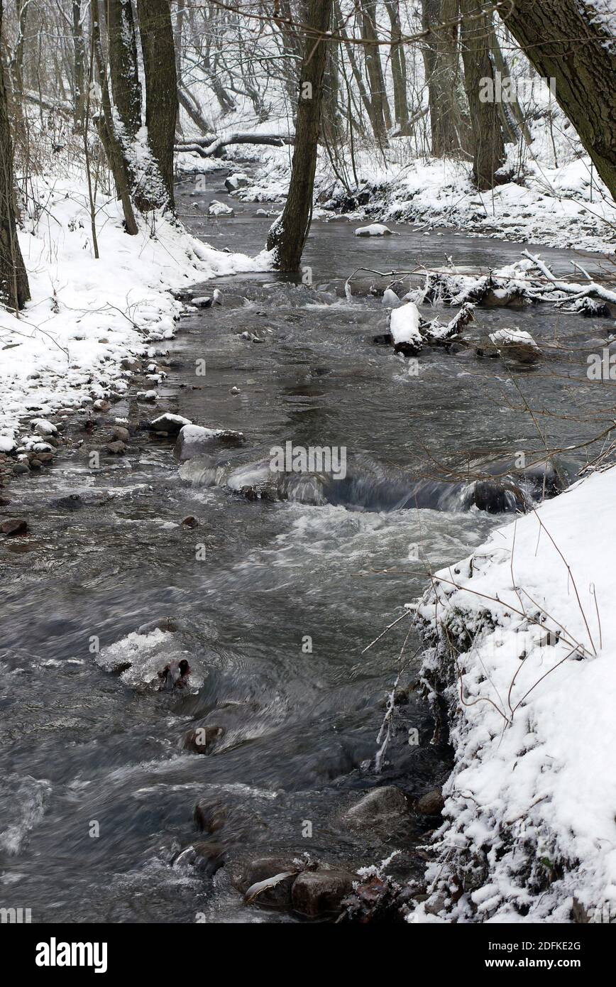 Börzsöny mountain in winter, North Hungarian Mountains, Pilsengebirge ...