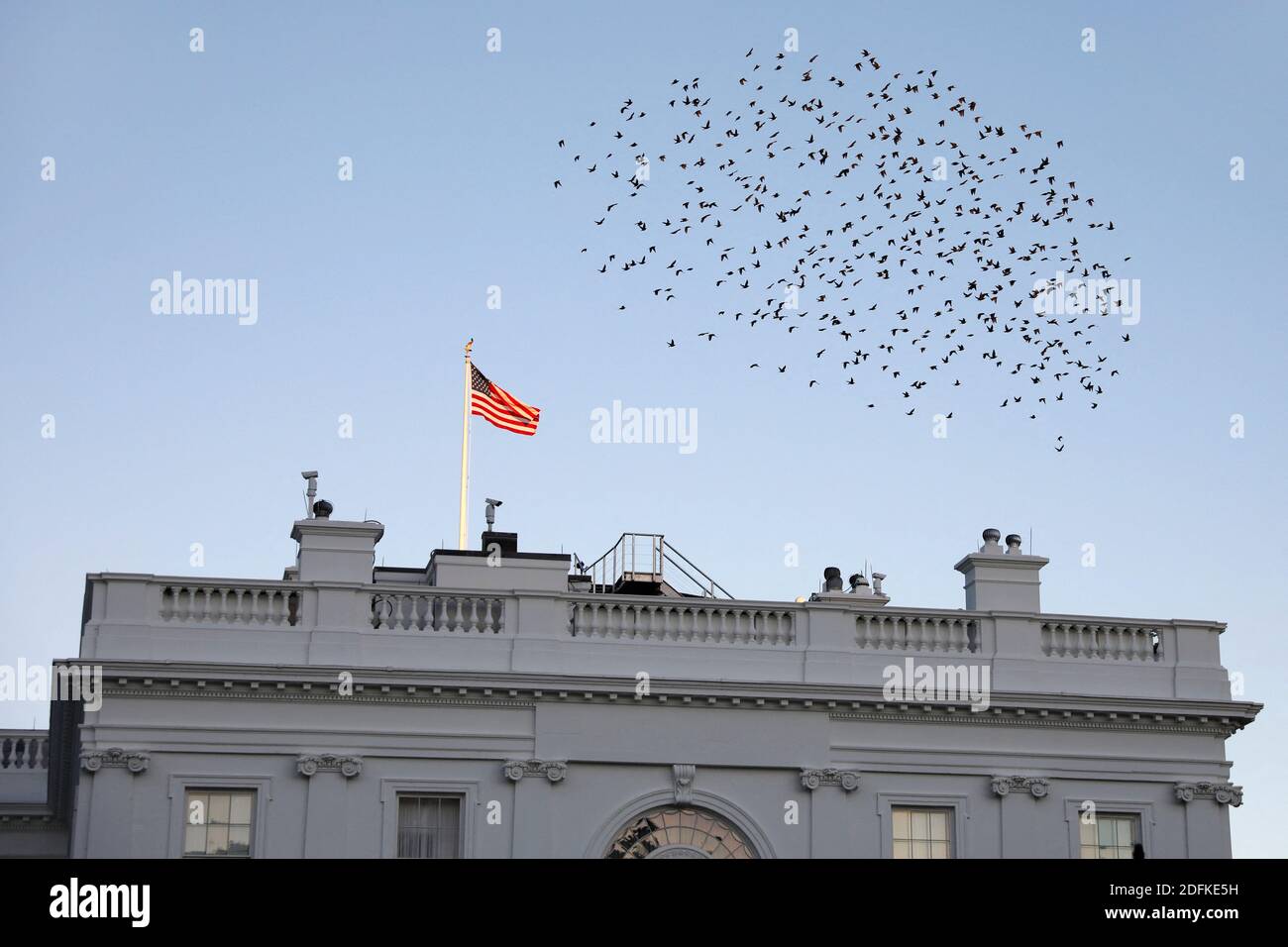 Birds fly above the White House in Washington on October 8, 2020. Photo ...