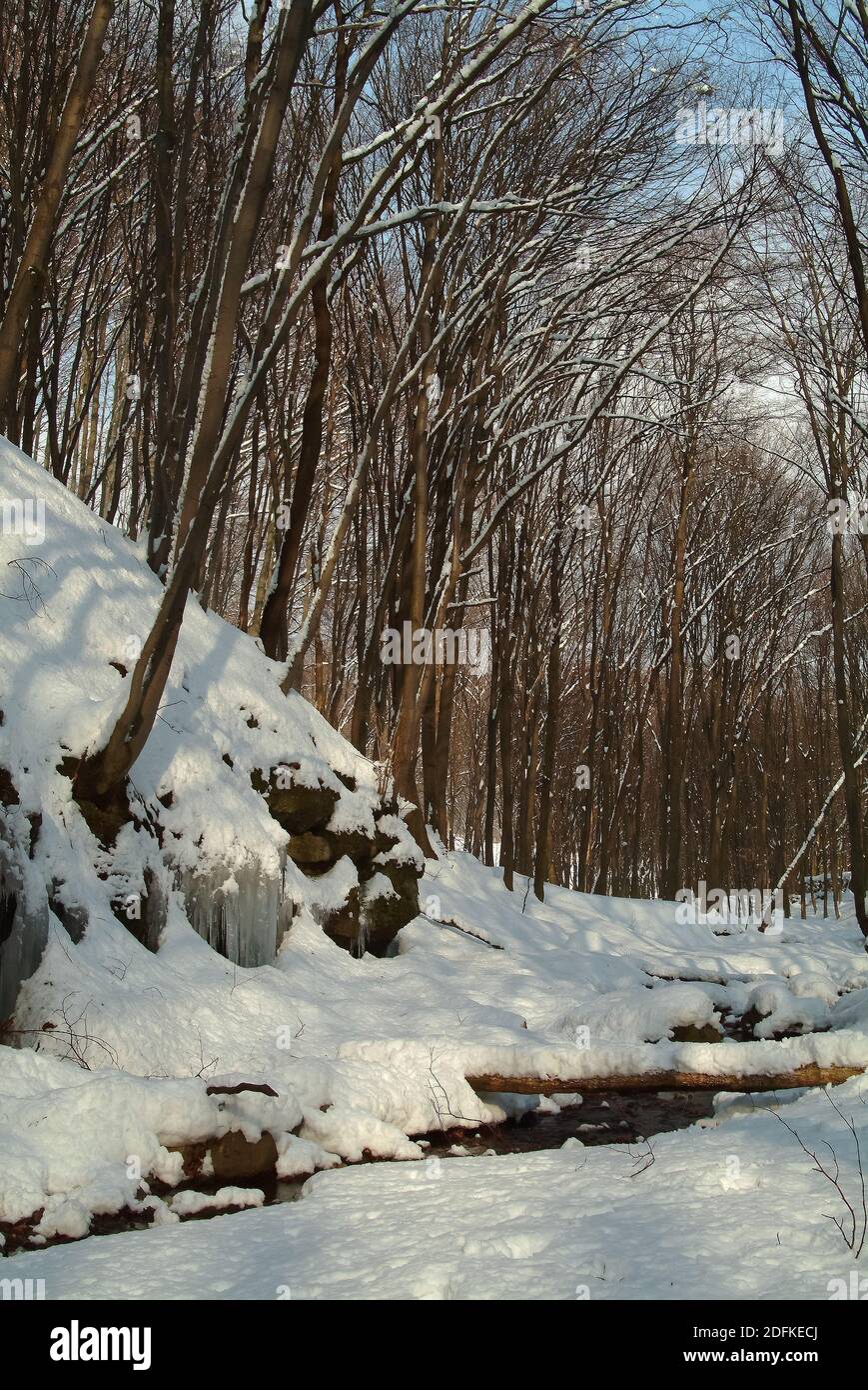 Börzsöny mountain in winter, North Hungarian Mountains, Pilsengebirge ...
