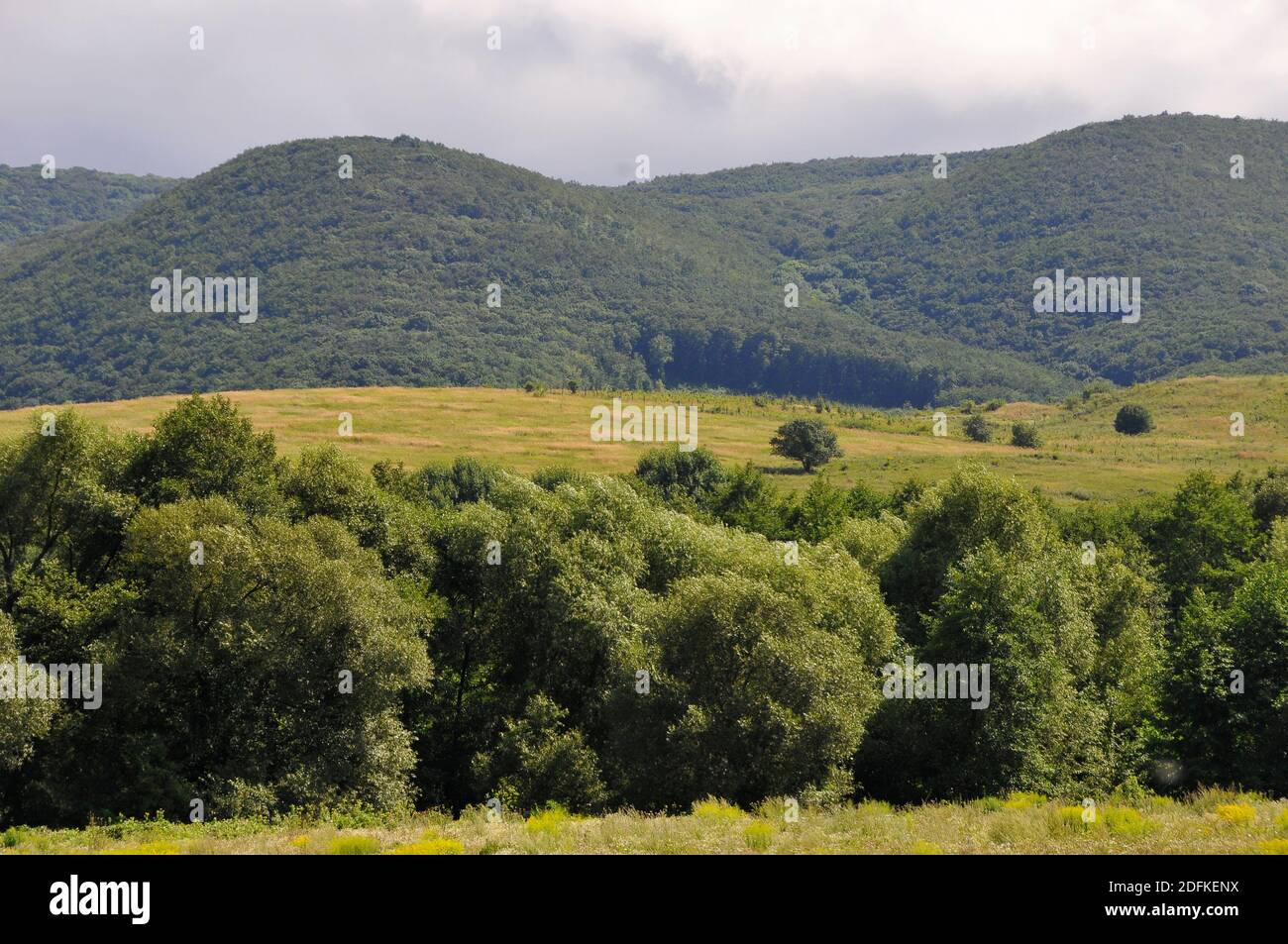 Bükk Mountains, North Hungarian Mountains, Hungary, Magyarország ...