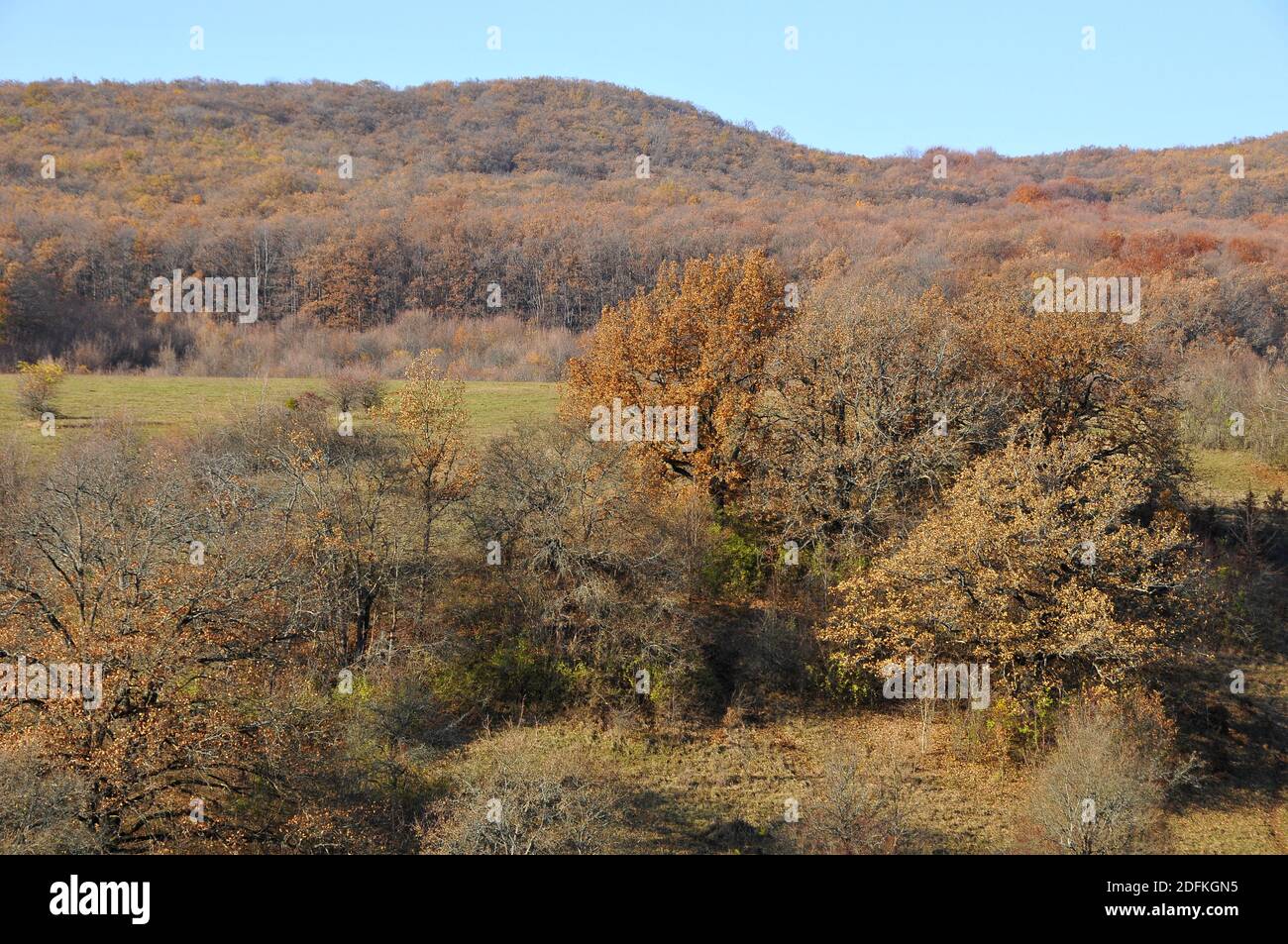 Aggtelek National Park, Nationalpark Aggtelek, Aggteleki Nemzeti Park ...