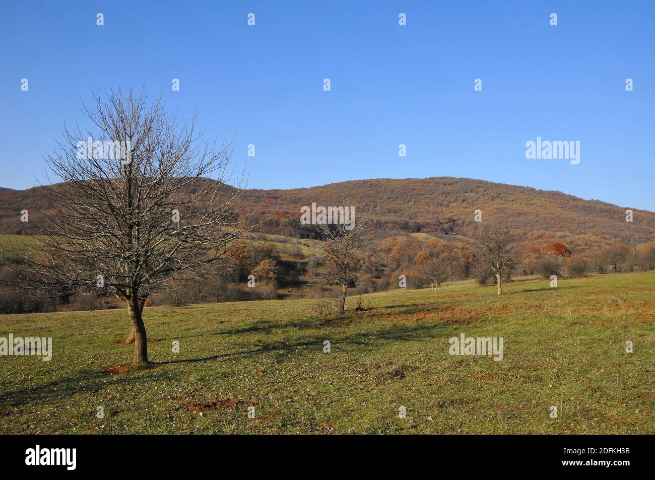 Aggtelek National Park, Nationalpark Aggtelek, Aggteleki Nemzeti Park ...