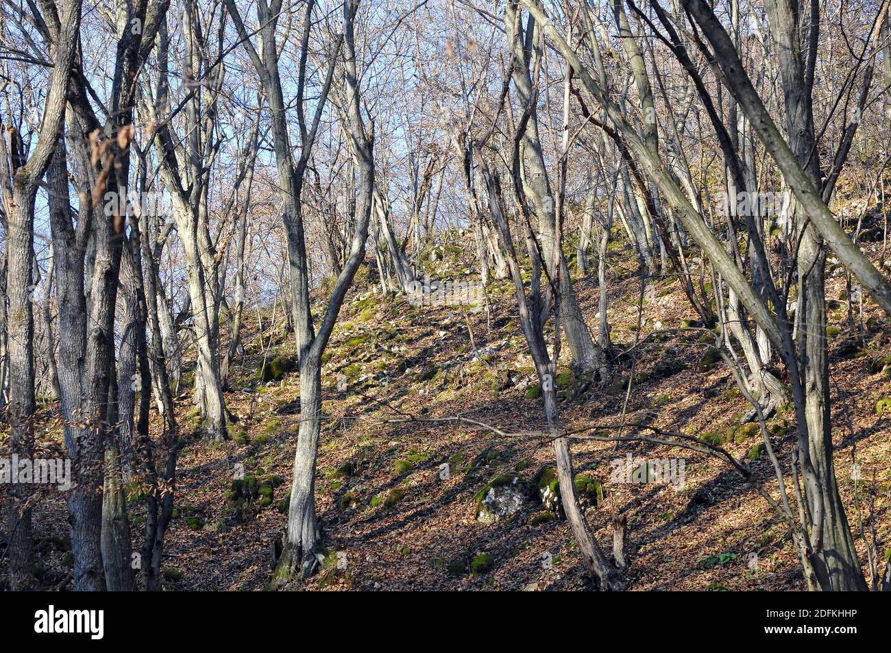 Aggtelek National Park, Nationalpark Aggtelek, Aggteleki Nemzeti Park ...