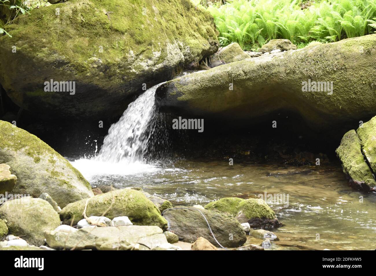 A small water stream flowing through mossy irregular stones Stock Photo ...