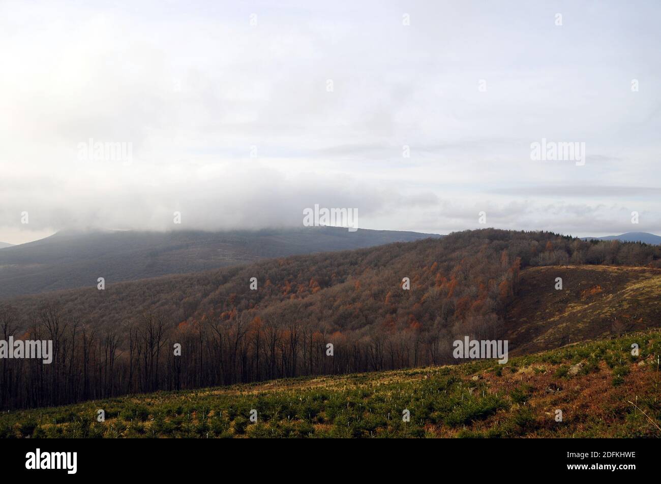 Mátra mountain, Mátra-Gebirge, Hungary, Magyarország, Europe Stock ...