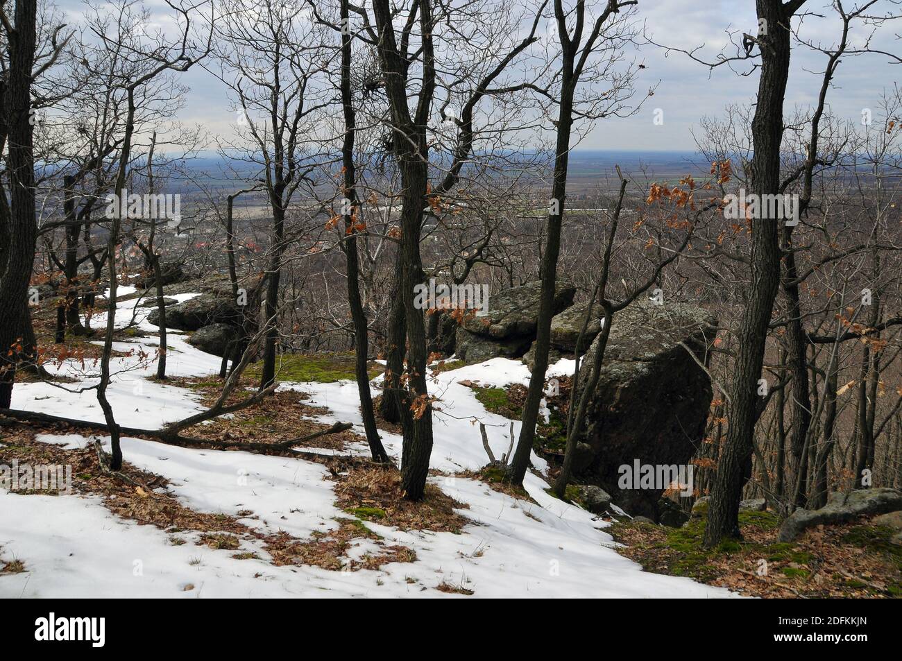 James's Hill, Jakobsberg, Jakab-hegy, Mecsek mountain, Metscheck ...