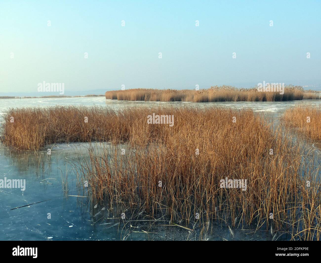 Lake Velence, Velencei-tó, Welenzer See, Fejér county, Hungary ...
