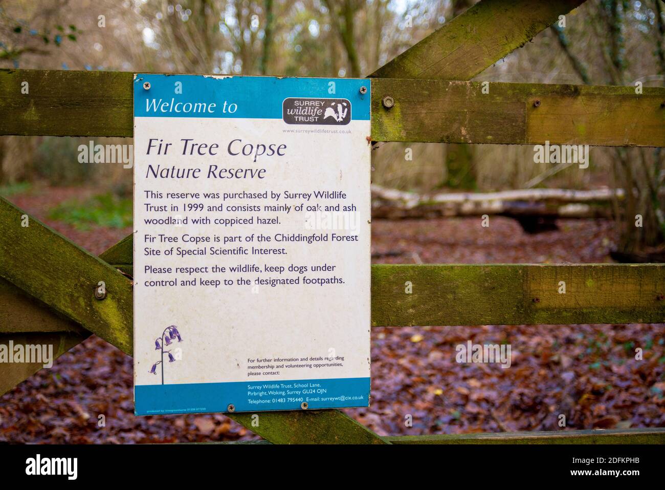 Chiddingfold forest sssi hi-res stock photography and images - Alamy
