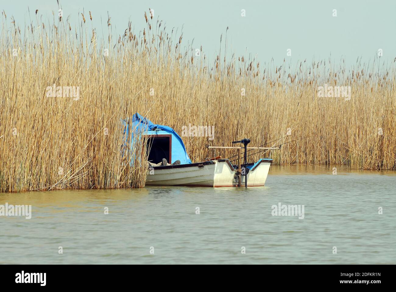 Lake Velence, Velencei-tó, Welenzer See, Fejér county, Hungary ...
