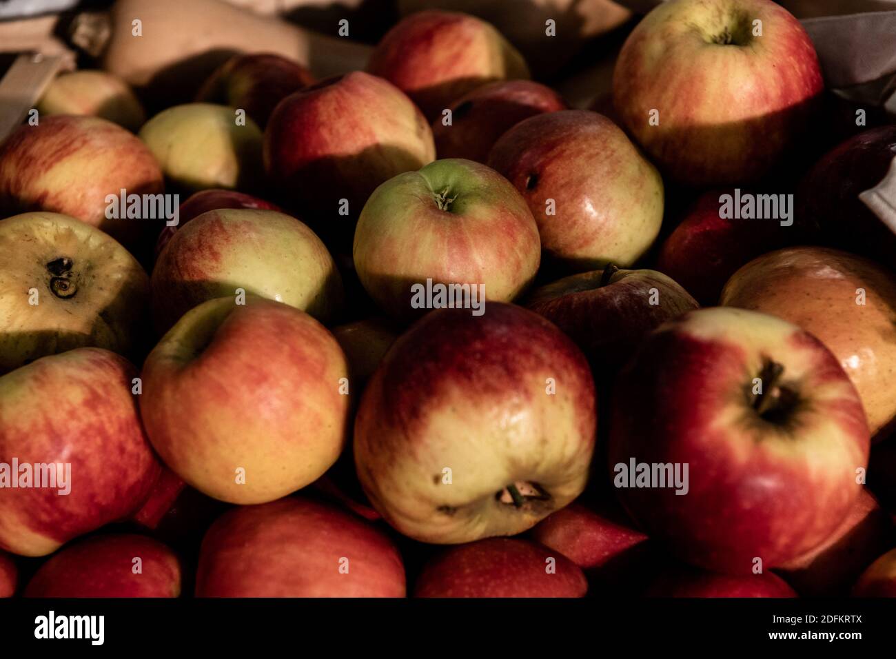 Boxes of fruits and vegetables prepared at the Marche International ...