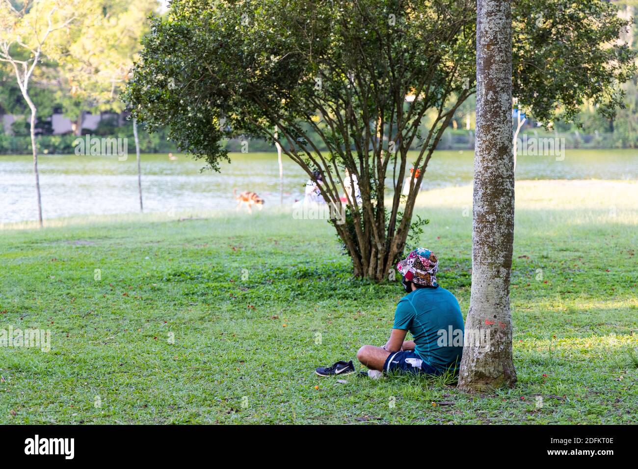 Man resting under tree hi-res stock photography and images - Alamy