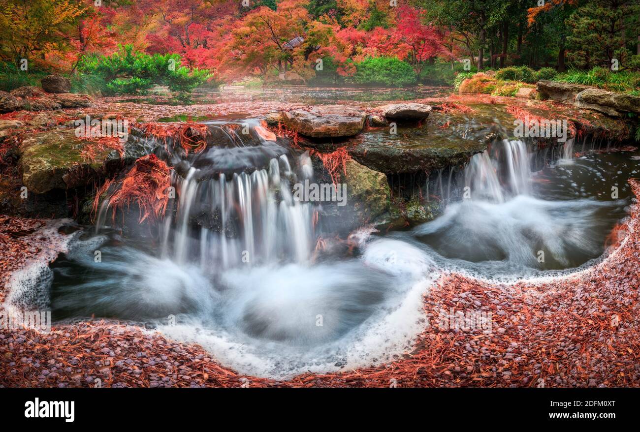 Fall Foliage and a Flowing Stream in the Japanese Garden Stock Photo ...