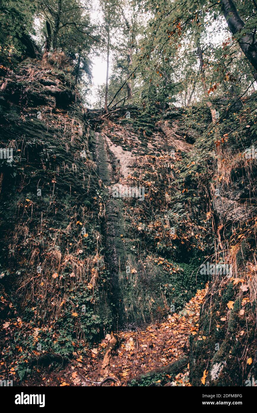 A vertical shot of the moss-covered cliffs captured in a forest Stock ...
