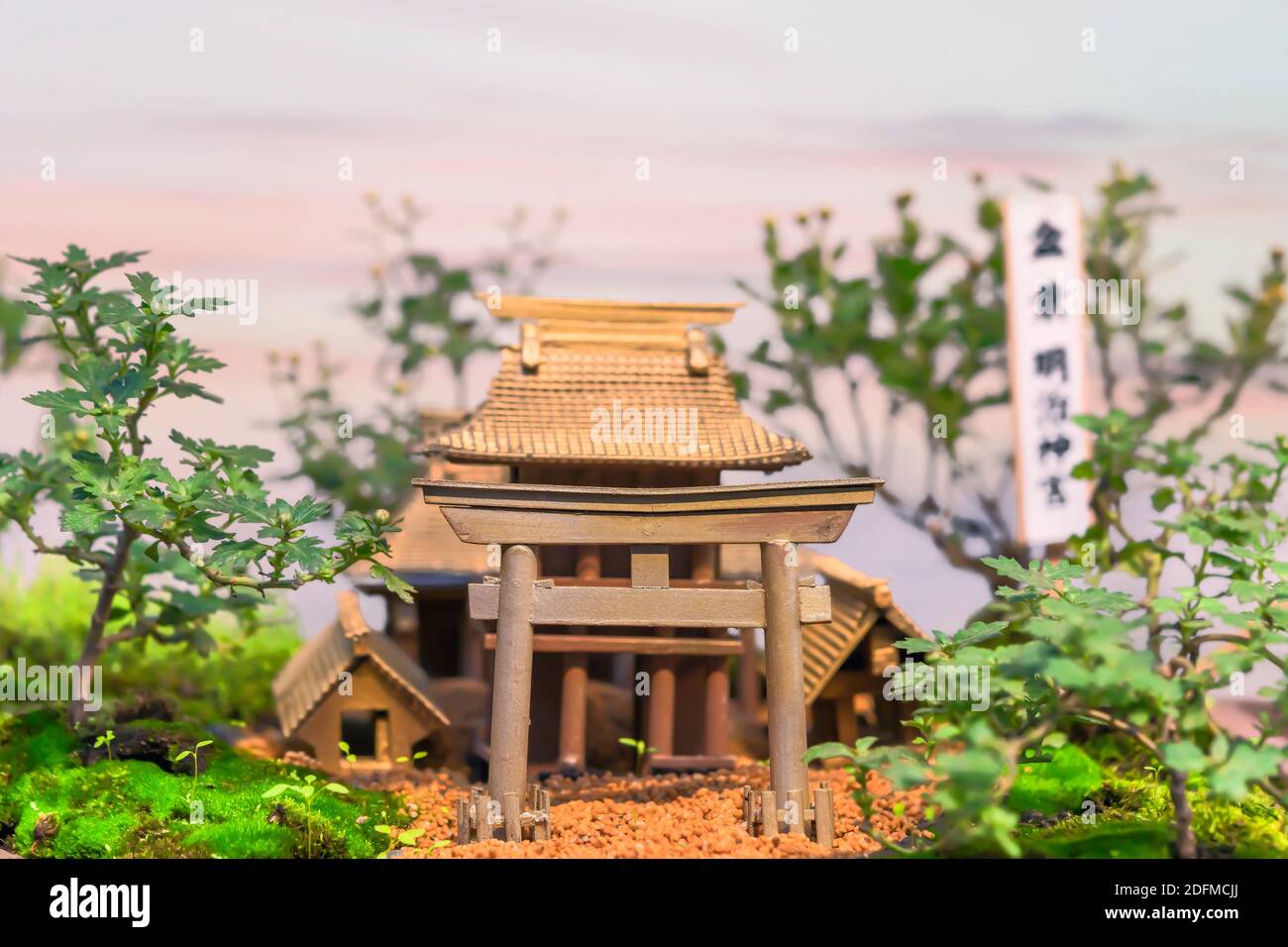 shibuya, japan - november 02 2020: Bonsai art trees depicting a ...