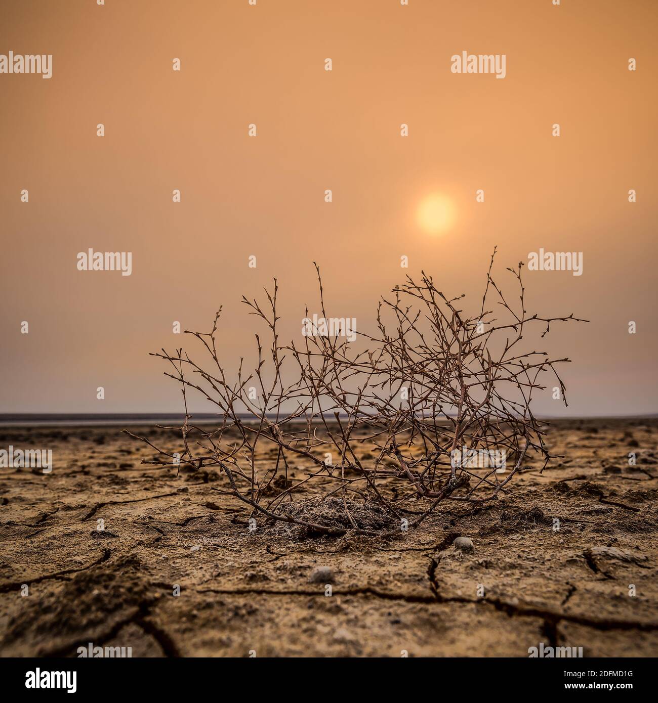 Manych gudilo lake hi-res stock photography and images - Alamy