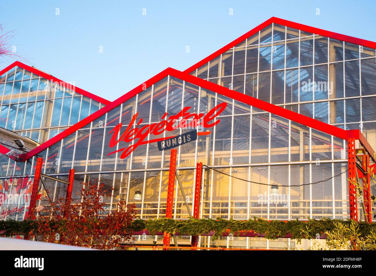 International Market of Rungis - Plants area on November 19, 2020 in ...