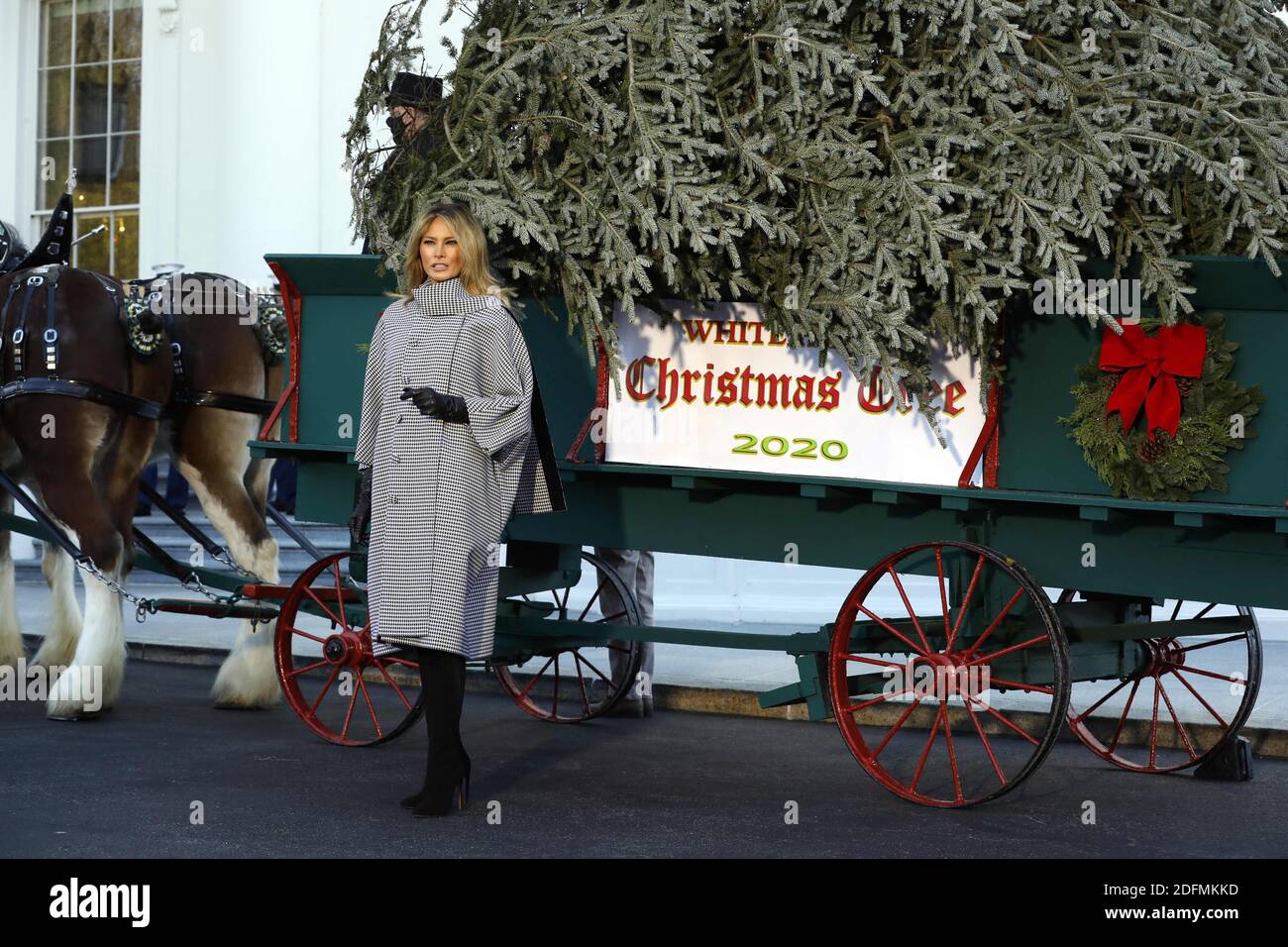 U.S. First Lady Melania Trump receives the White House Christmas Tree ...