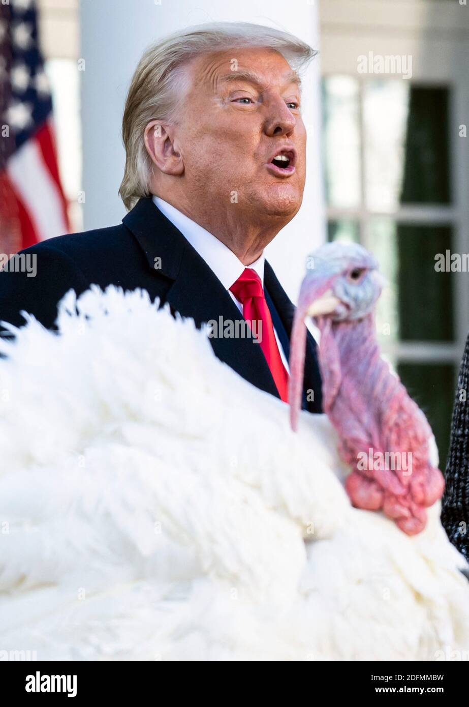 President Donald Trump pardons Corn, the National Thanksgiving Turkey ...
