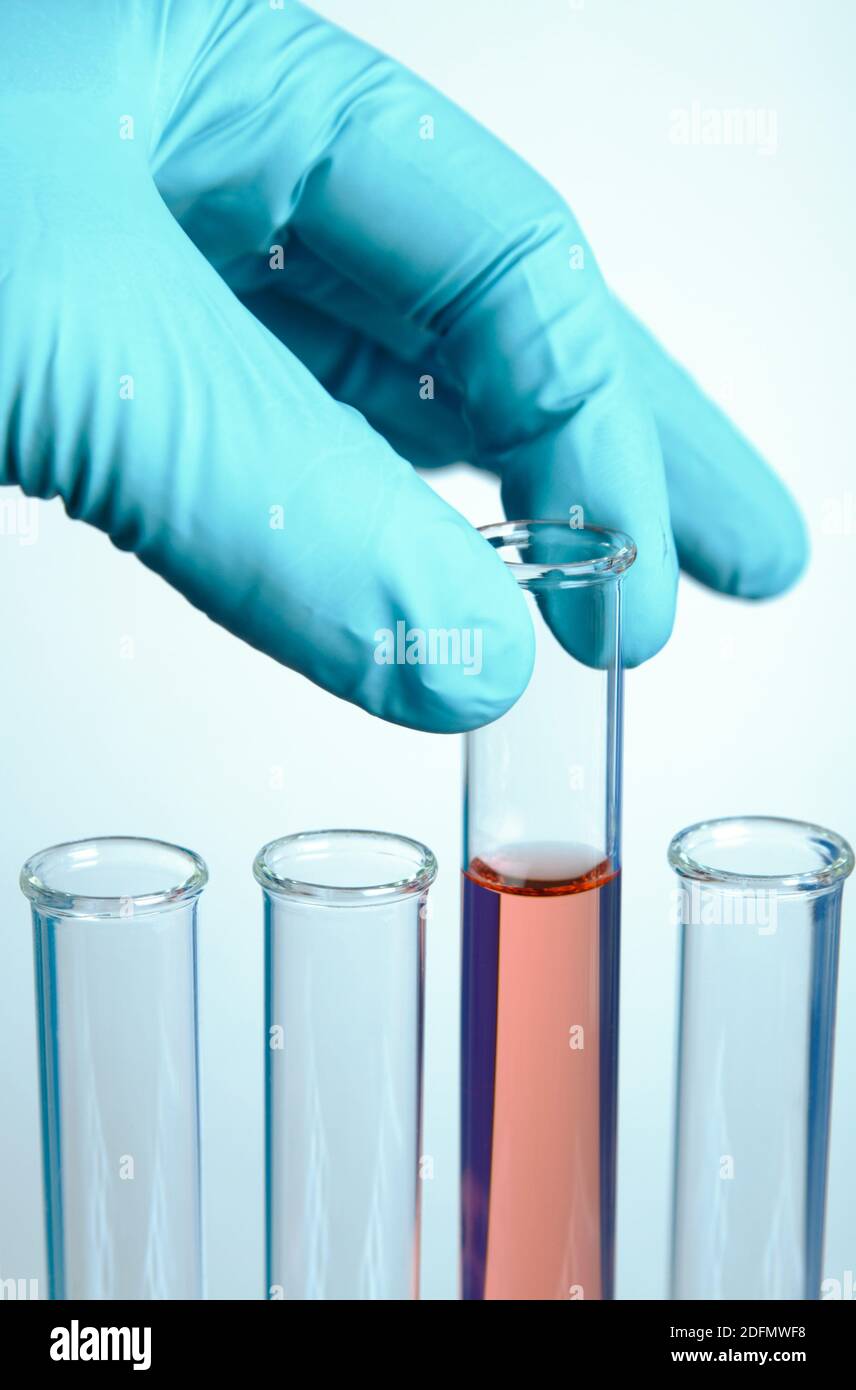 Test tubes. Nitrile-gloved hand picking up a test tube with red ...