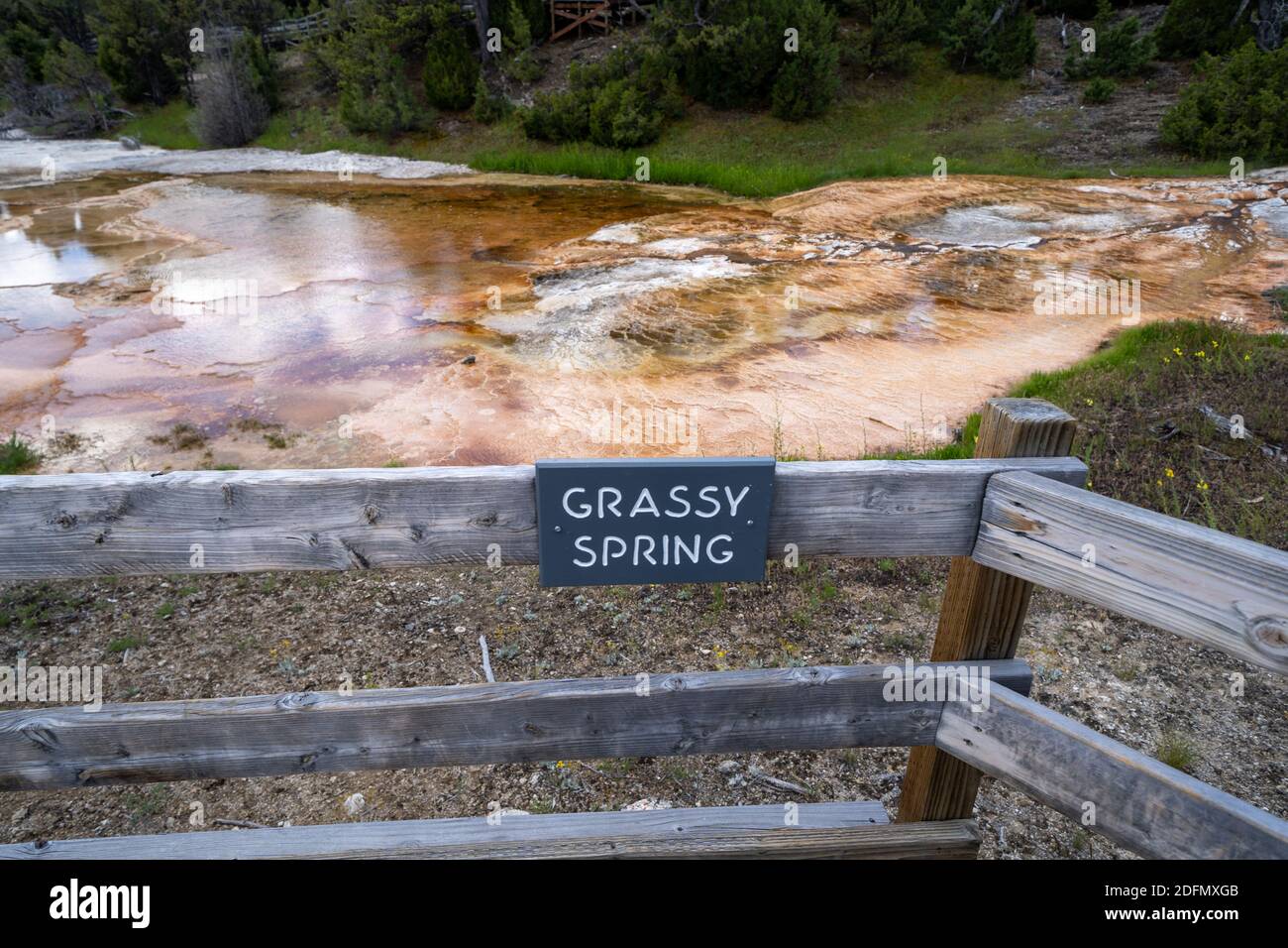 Grassy Spring, a hot spring geothermal feature in the upper terraces in ...