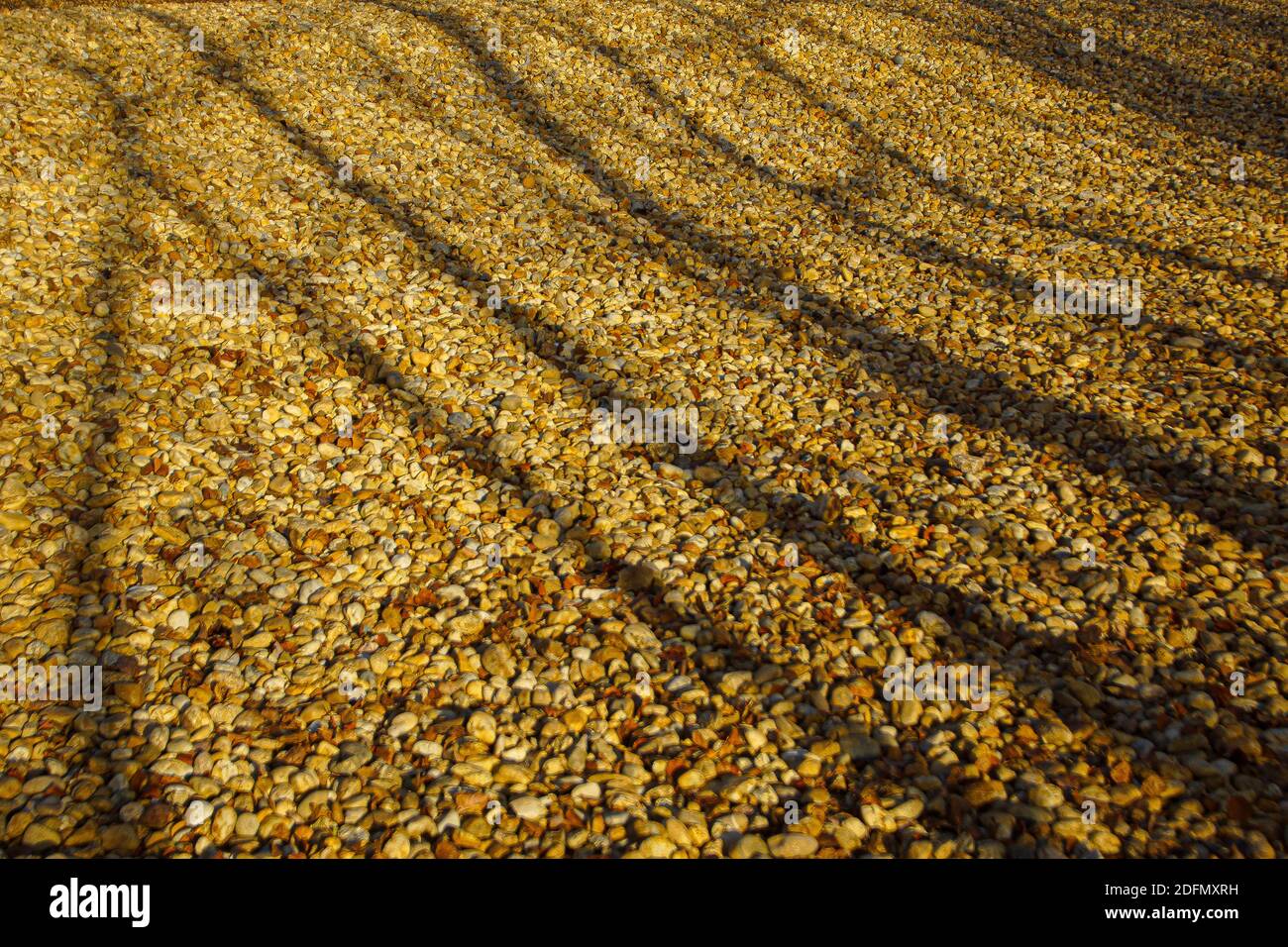 a lot of pebbles under with thin long shadow Stock Photo - Alamy