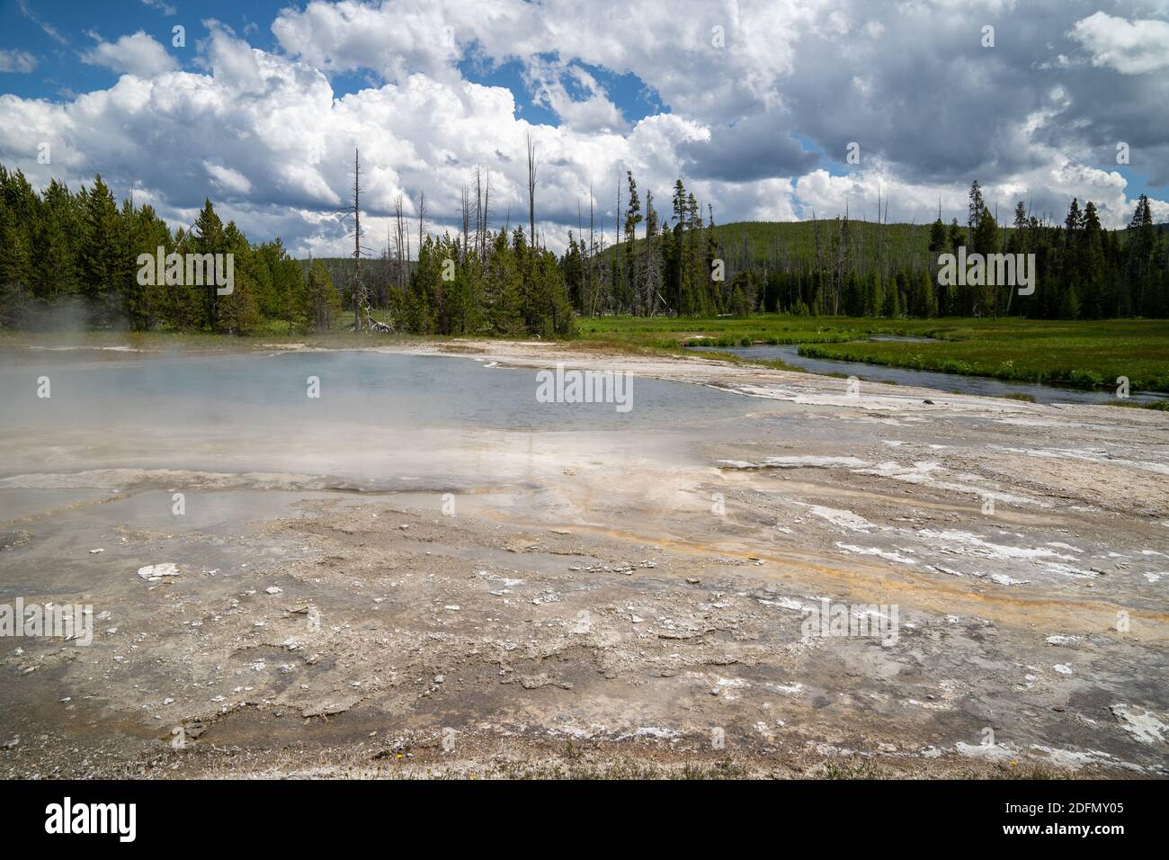 Green Spring in Yellowstone National Park, Black Sand Basin area Stock ...