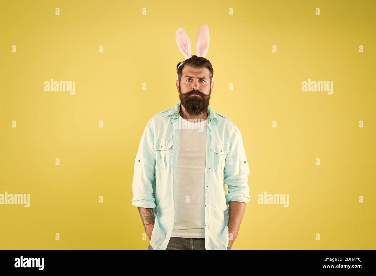 Difference Between Rabbits and Hares. Male rabbit personality traits ...