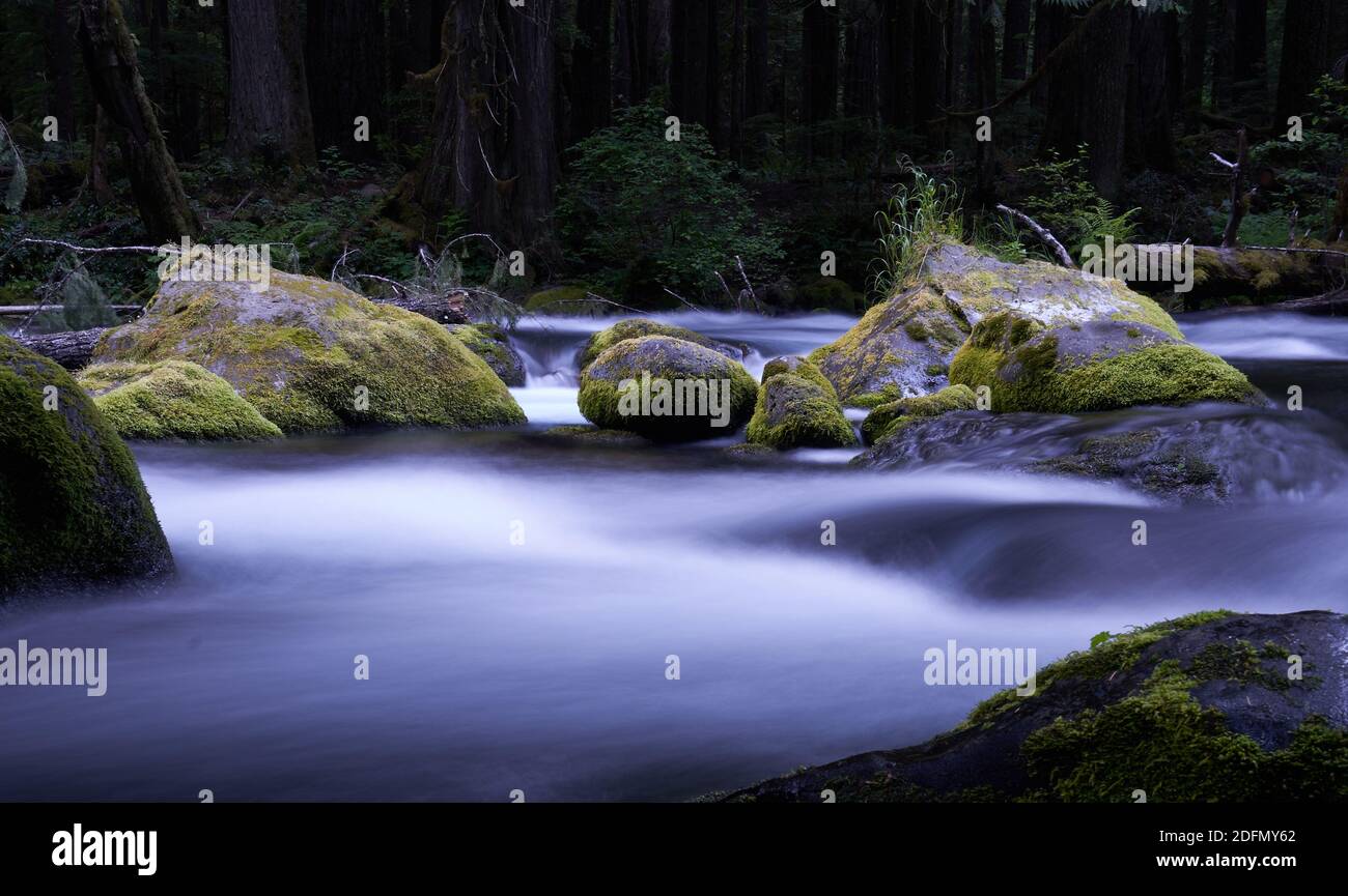 Hiking mckenzie river hi-res stock photography and images - Alamy