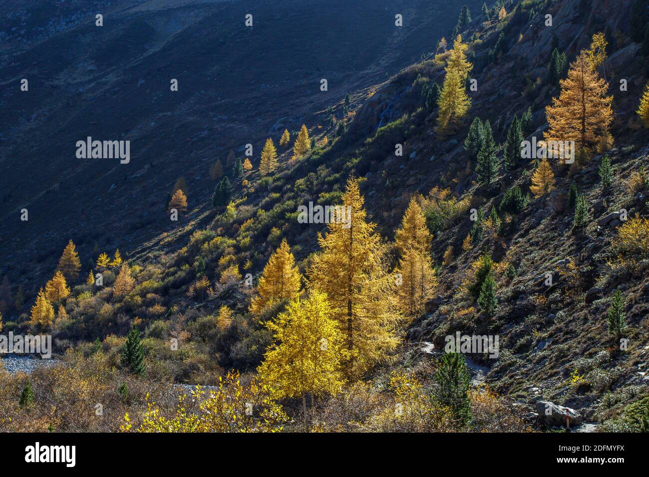 Gries tirol hi-res stock photography and images - Alamy