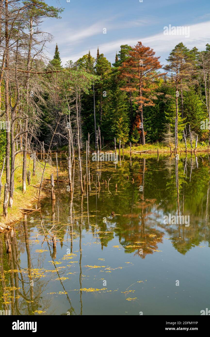 Ritchie falls hi-res stock photography and images - Alamy