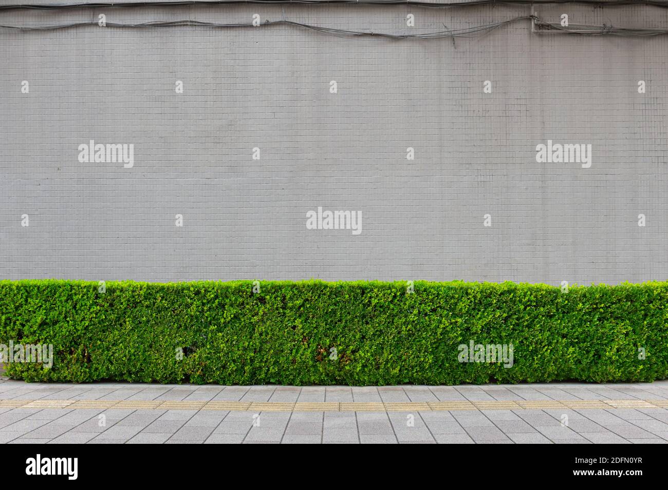 street wall background ,Industrial background, empty grunge urban ...