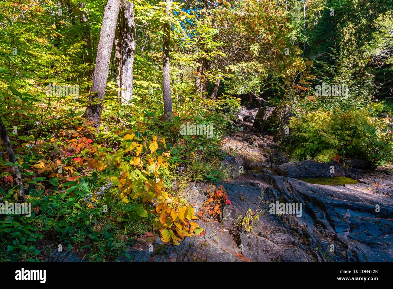 Hawk lake log chute hi-res stock photography and images - Alamy